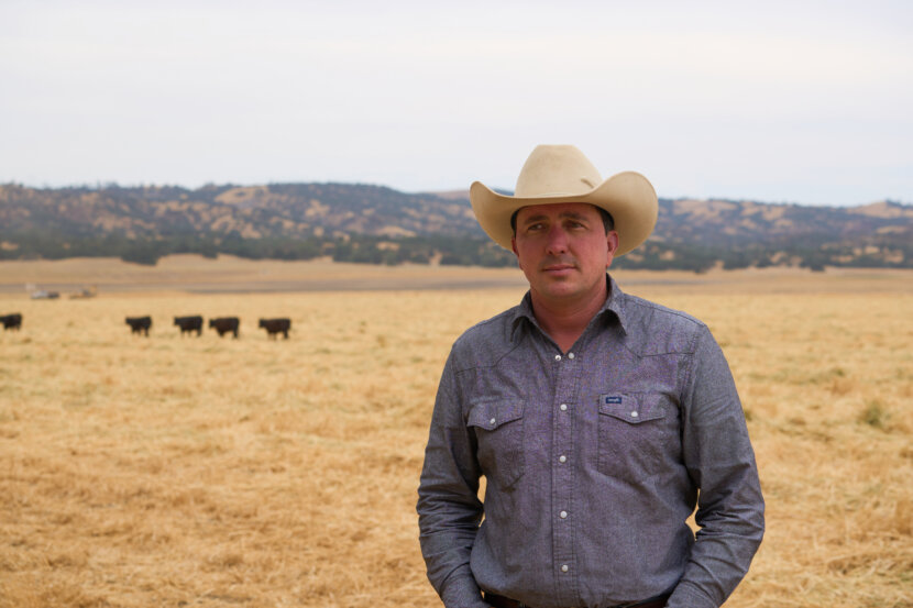 A Legacy Preserved: How Solar Power and Ranching Can Coexist | Arevon